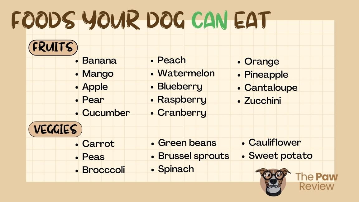 How To Pick The Best Dog Food - A Complete Guide | The Paw Review